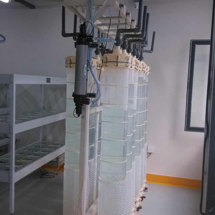 Chlorella Algae Photobioreactor - Efficient Growth Solutions