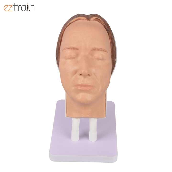 Realistic Facial Injection Manikin - Silicone Head Model