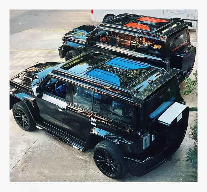 Tank 300 2023 off-Road Version 2.0t Conqueror Hybrid Car