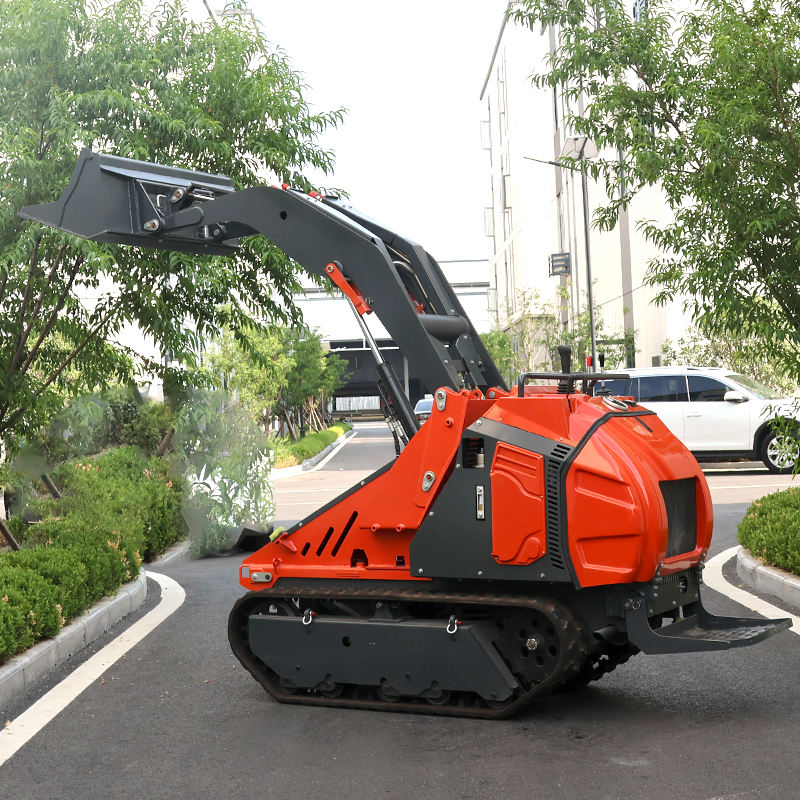Promotion Clearance 500KG Telescope Caterpillar Small diesel Skidsteer ...