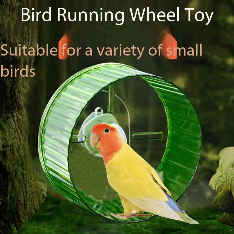 Transparent Parrot Exercise Wheel Bird Treadmill for Budgie Cockatiel ...