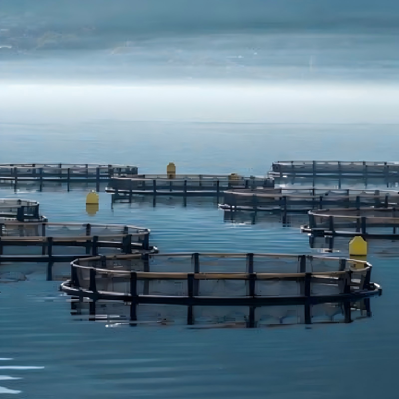 HDPE Material Aquaculture Fish Farming Circular Fish Cage System with ...