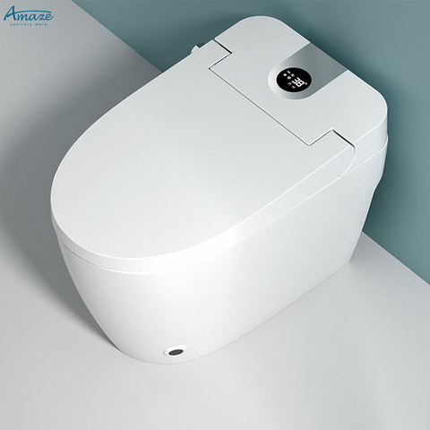 Smart Toilet - Back to Wall Mounted Ceramic Wc with Bidet