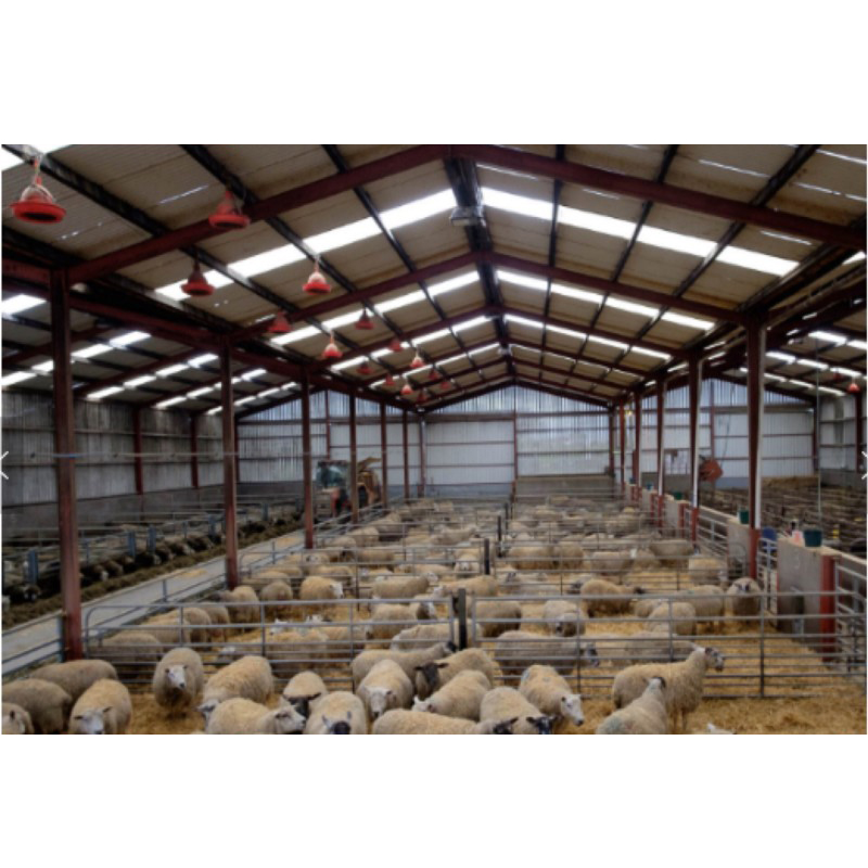 Durable and Efficient chicken farm roof cost for Optimal Animal Housing
