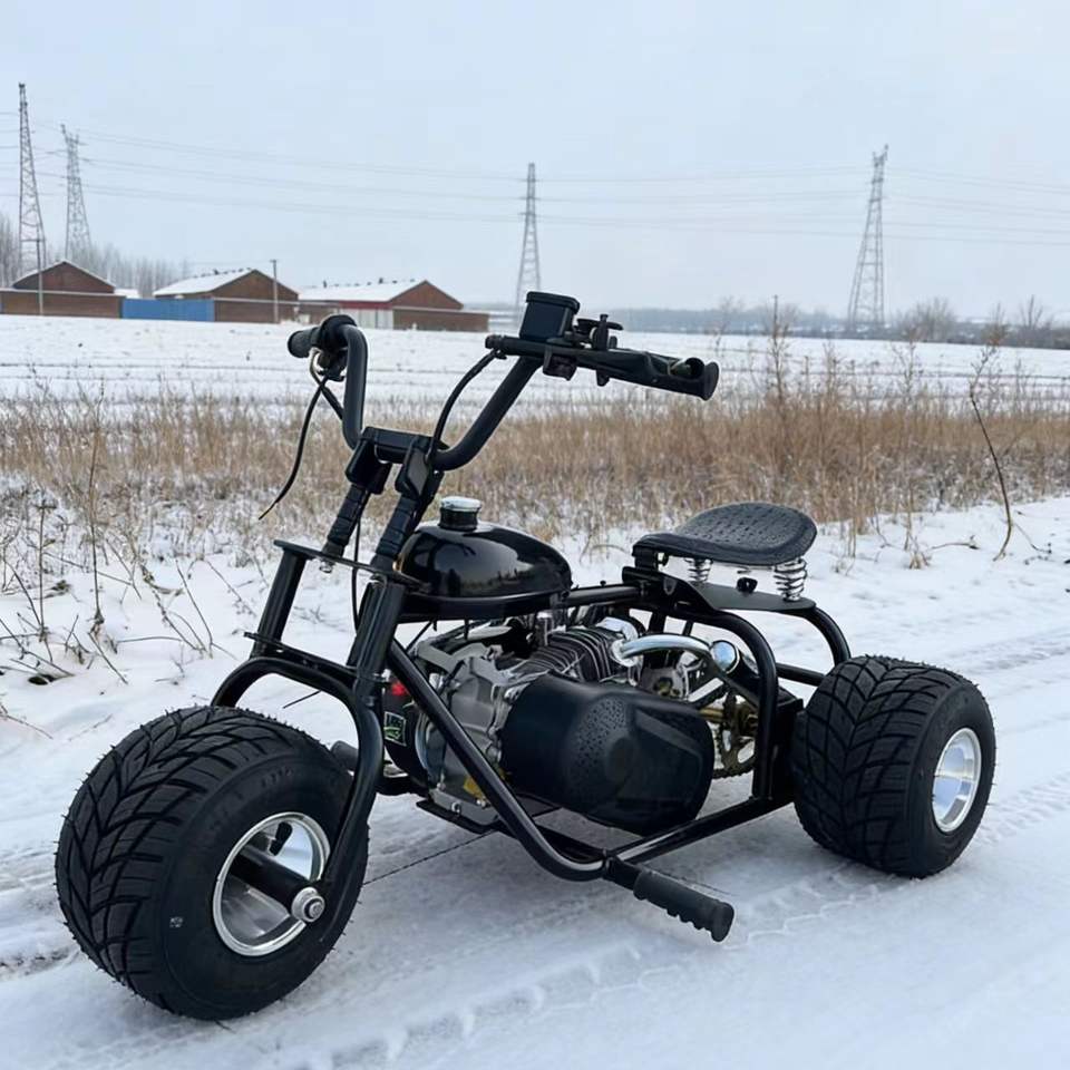 Customized 2026 New Racing Pedal Mini Bike 212cc 8.5HP 4 Stroke Gas ...