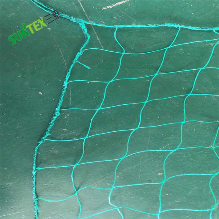 100% Fresh Trellis Mesh Vertical Frame for Runner Plantation/15*15 cm ...