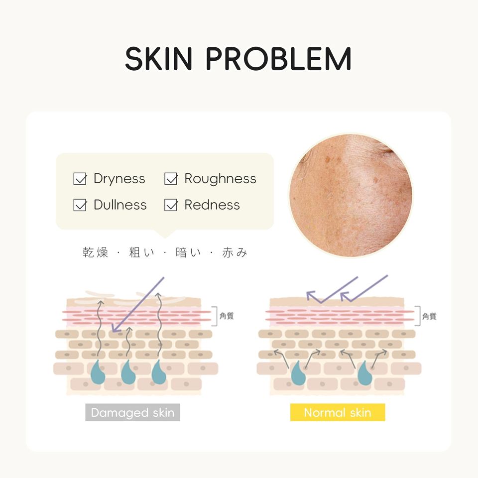 China YUZU Face Cream Day Moisturizer Niacinamide Anti-Wrinkle Anti ...