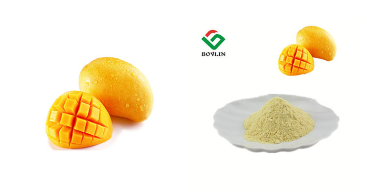 Mango Powder Fruit Powder Mango Juice Powder| Alibaba.com