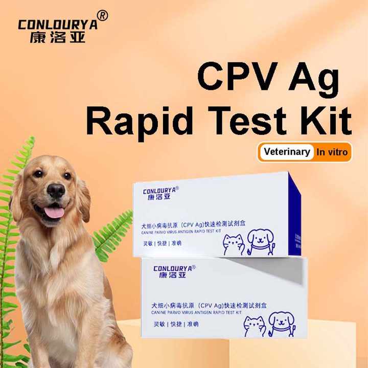 Canine Parvovirus Antigen Rapid Test Kit Fast and Accurate Dog Health ...