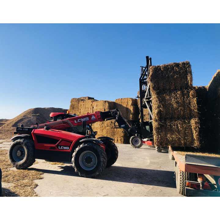 LGMG Custom Telehandler 6m 2.5t OEM ODM Solutions Tailored ...