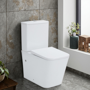 Luxury Square Shape Toilets - Modern & Durable Designs