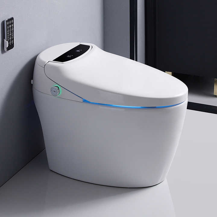 Smart Bidet Tankless Toilet - Elongated One Piece Wc