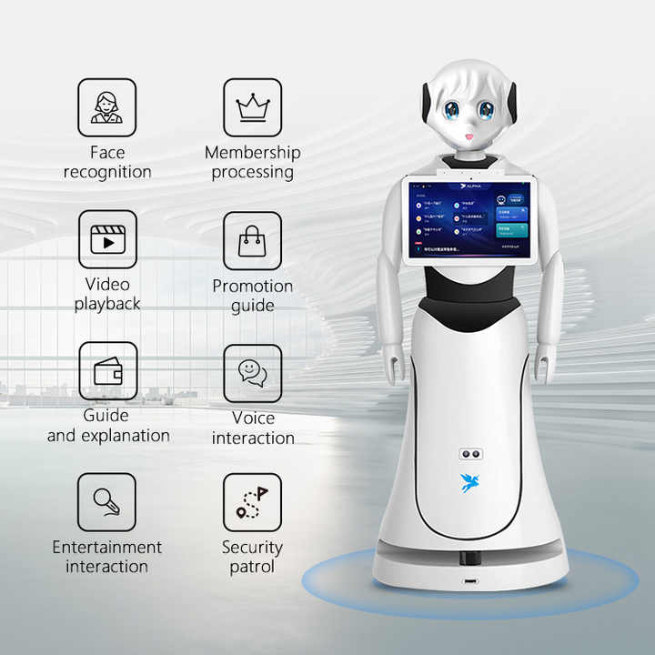 Welcome Reception Service Robot - Intelligent & Customizable