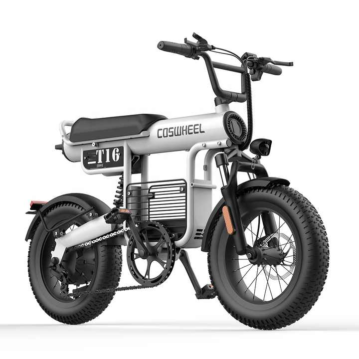 Fatbike Coswheel T16 EU US Warehouse Magazijn 250w 500w 750w 1000w ...