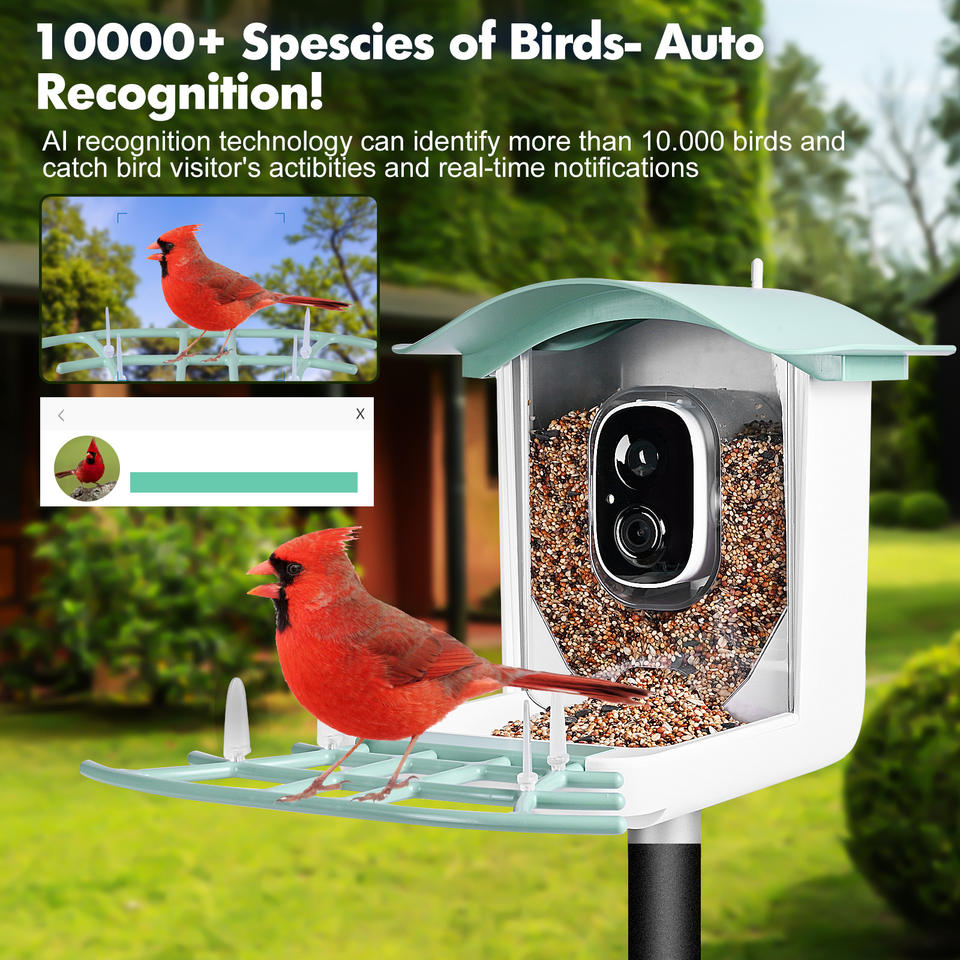 Smart Solar Powered Bird Feeder with HD Camera AI Recognition Night ...