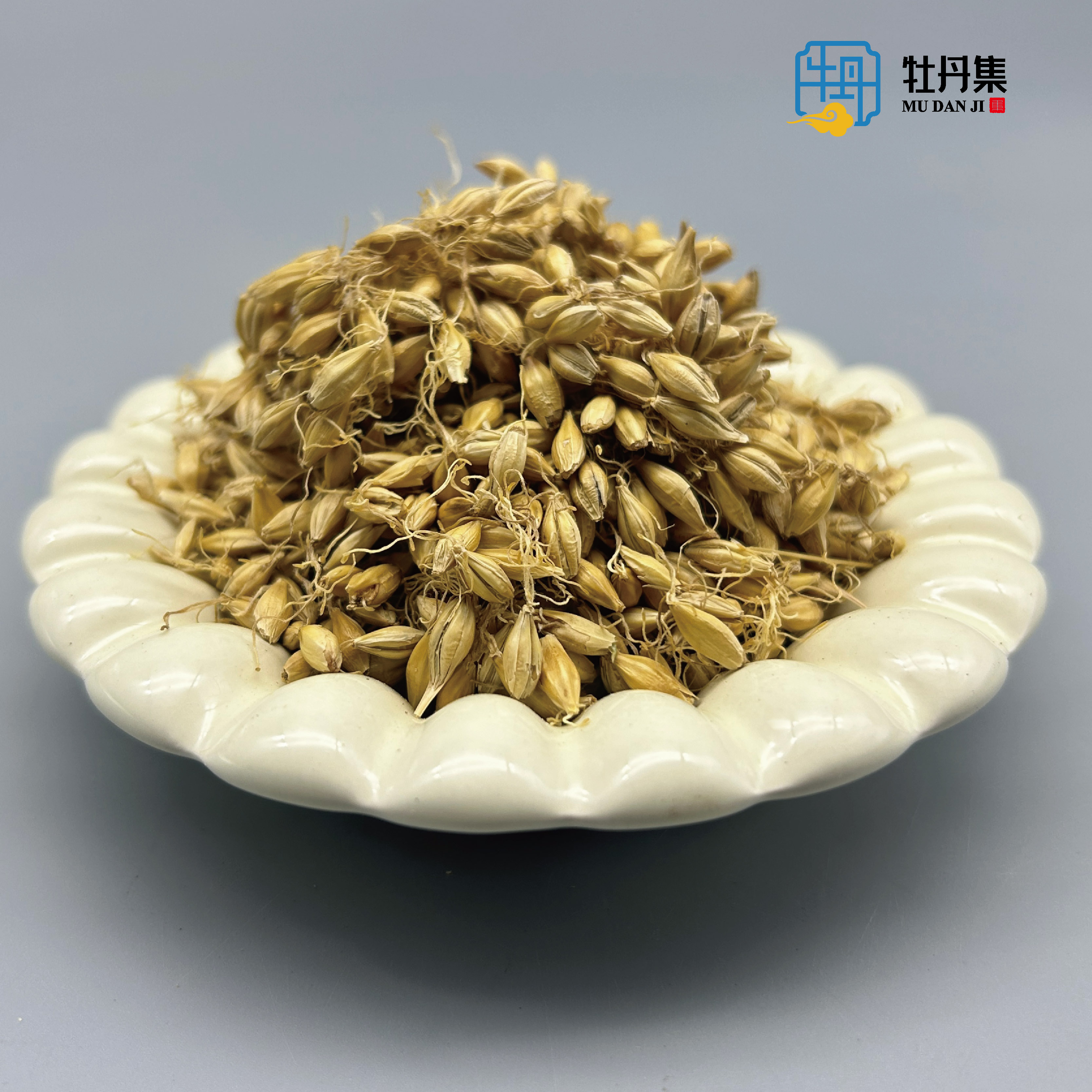 How to Choose the Best Germinated Barley for Your Needs