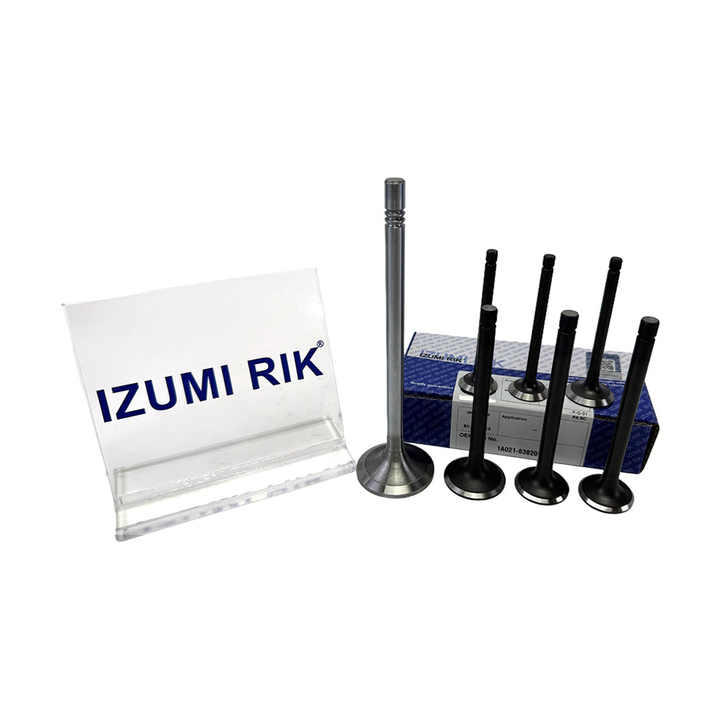 Diesel Engine Spare Parts IZUMI RIK 6SD1 6UZ1 6WA1 Valve for Isuzu ...
