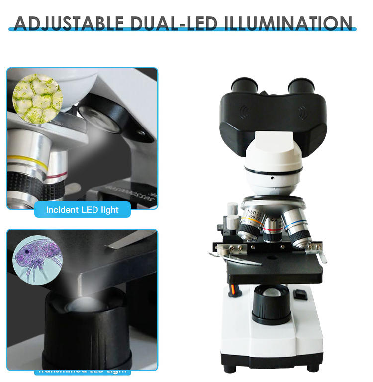Custom Binocular Laboratory Microscope Adjustable Biological Stereo ...