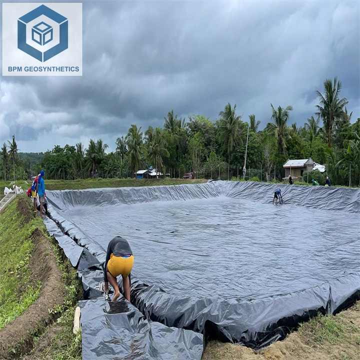 Hdpe Ldpe Geomembrane Pond Liner Water Reservoir Fish Farming Liner for Fish Pond Lining ...