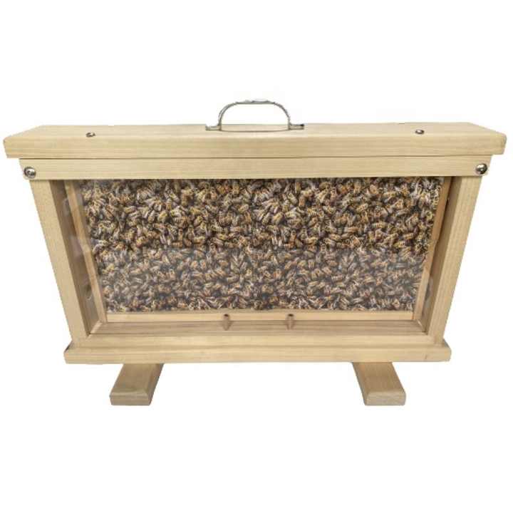 Standard Single Frame Observation Hive - Beekeeping Essentials