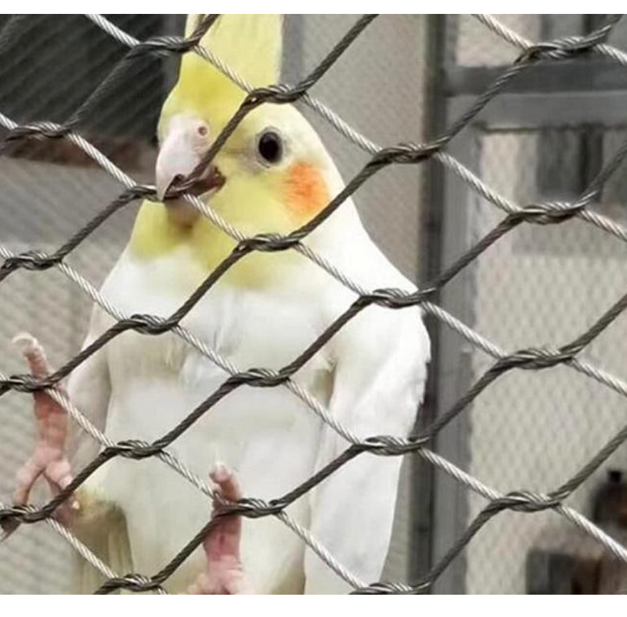 SS316 Stainless Steel Escalator & Elevator Handrail Mesh - Decorative ...