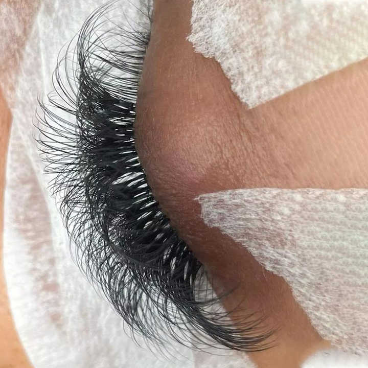 Lash Trays Cashmere Black Logo Eyelash Extensions 8-25mm