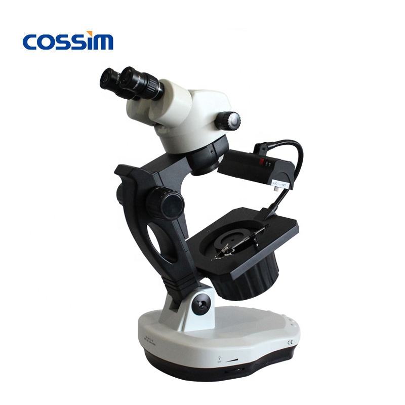 How to Choose the Best Microscope Holder for Your Lab Setup