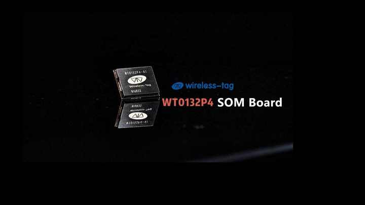 Wireless-tag ESP32-P4 SOM board WT0132P4-A1 som module with esp32 p4 chip Multi-interface for ...