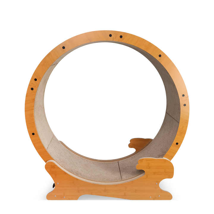 Cat Running Wheel Cat Wheel Exercise Pet Treadmill Walking Training ...