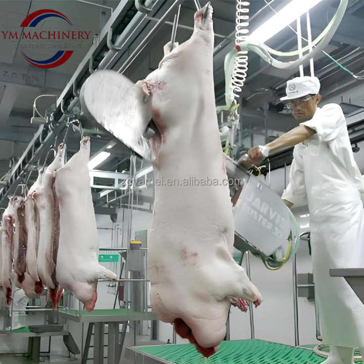 HACCP Pig Slaughter Line-Certified Sanitary Design| Alibaba.com
