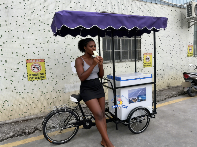 New Design 2026 Italian Ice Cream Gelato Bike Refrigerator Street Trike ...