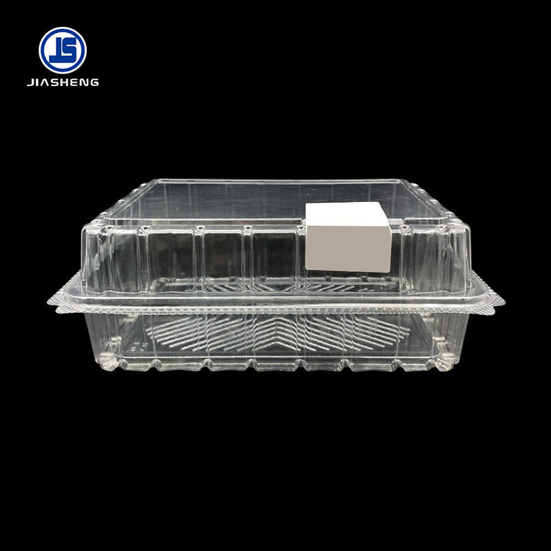 Custom Disposable Eco-friendly Plastic Food Grade Triangle Packaging ...