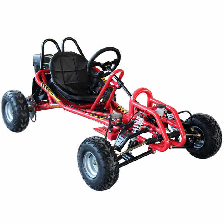 Passionate Adults Outdoor Go Karts - Gas Powered 2WD Racing Buggy for ...