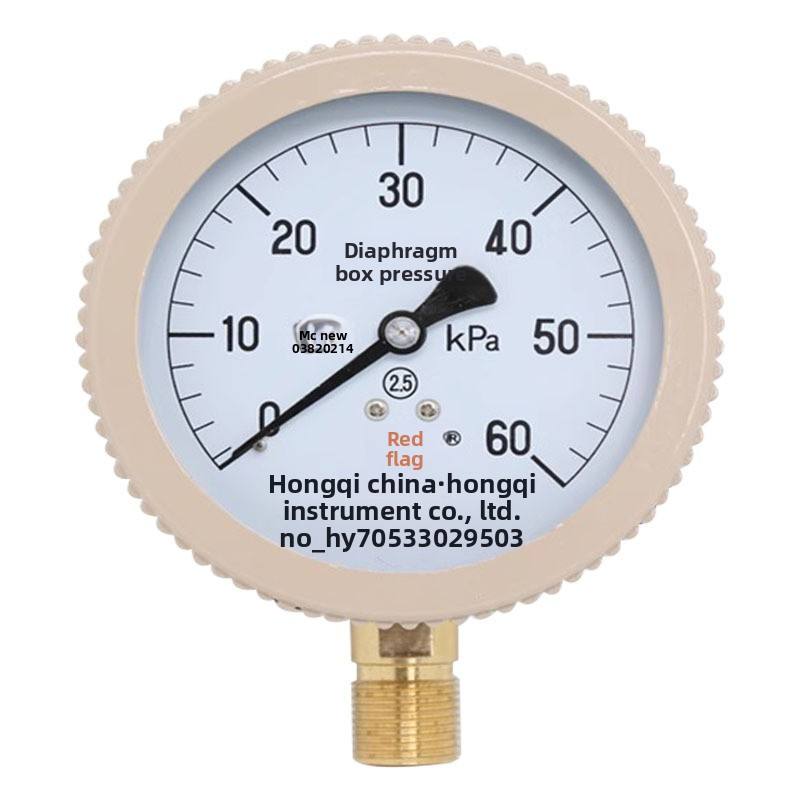 Hongqi Instrument Bellows Pressure Gauge YE-100 6/10/16/25/40 KPa ...