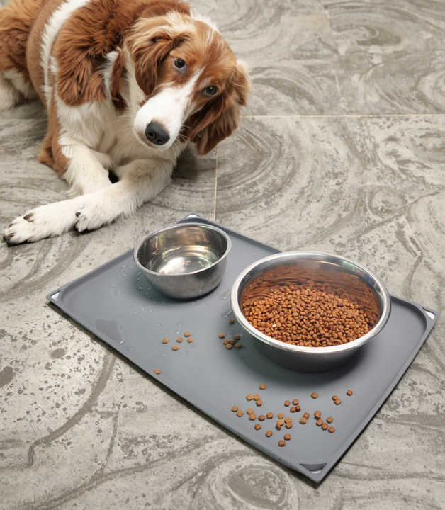 Large Washable Pet Portable Kennel Protect Floors Anti Proof Overflow ...