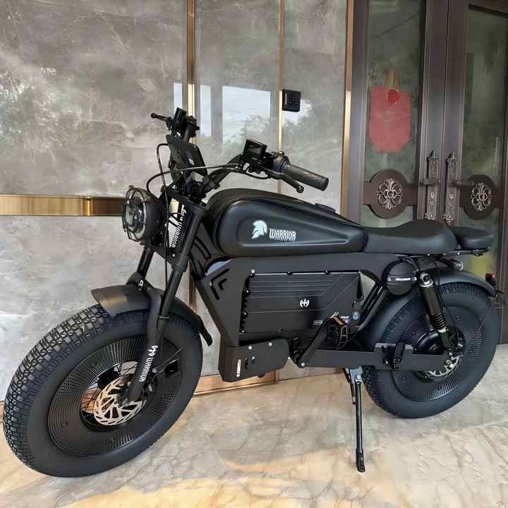 Hcbk- Black Warrior 1500w/3000w Electric Bike 60ah 160km Range ...