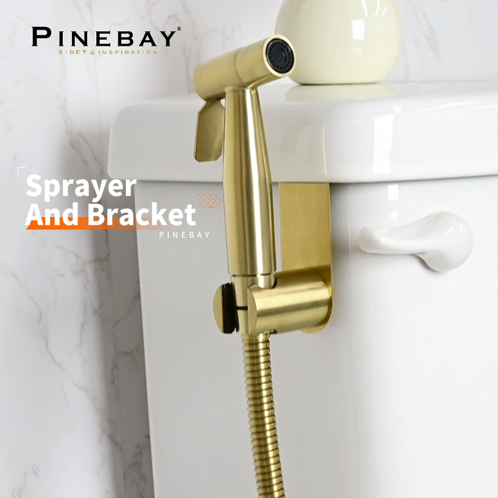 PINEBAY Luxury Style Stainless Steel Gold Non Electric Bidet Toilet ...