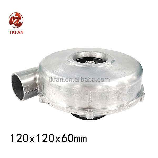 High-Power Mini Brushless DC Cordless Air Blower 12v/24v ODM