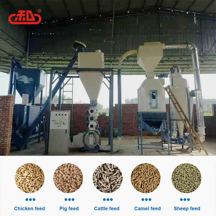 Customized 3-5 Ton Feed Production Line - Efficient & Durable