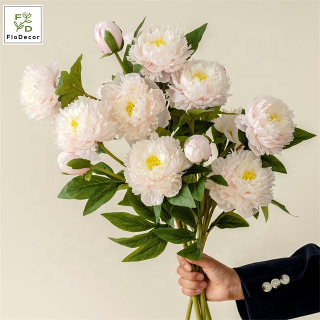 How to Choose the Best Peony Real Flower for Your Garden or Arrangement