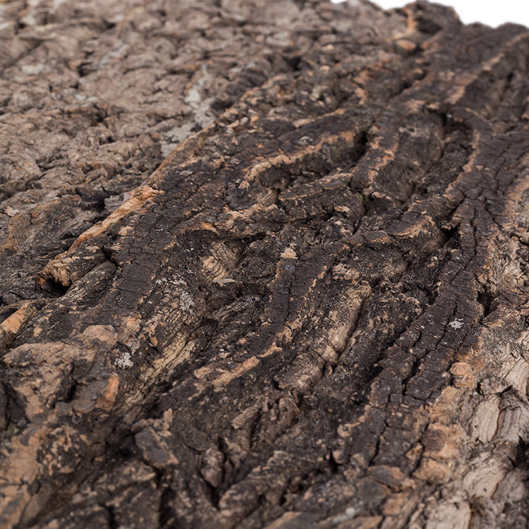 REPTIZOO 600x450mm Natural Cork Tile Eco-Friendly Bearded Dragon Tank ...