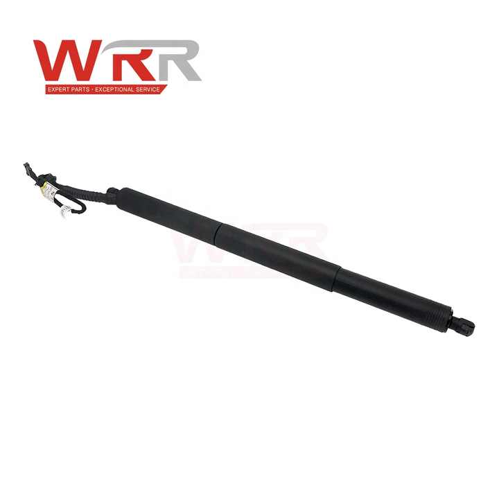 WRR 51247294469 51244823279 Rear Luggage Compartment Lid Motorized ...