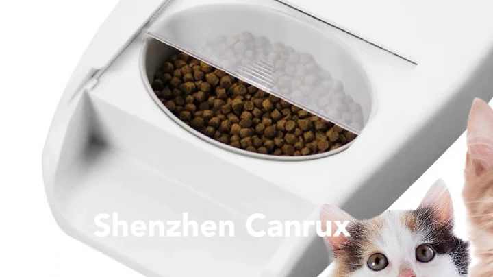 Smart Pet Feeders - Efficient Solutions for Multi-Pet Homes