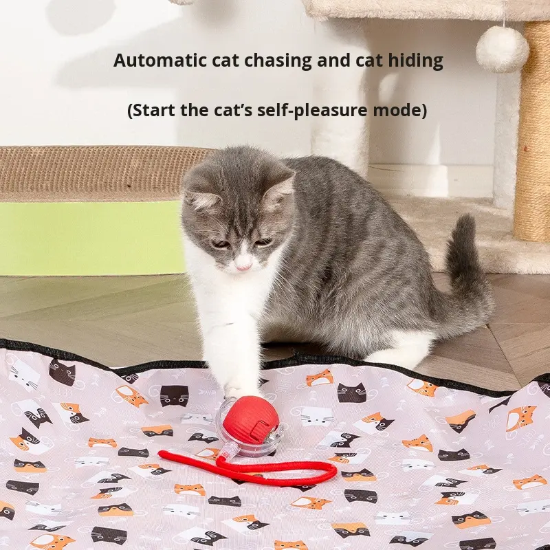 Electric Cat Hunting Hood Toy Interactive Self Amusement Rolling Ball ...