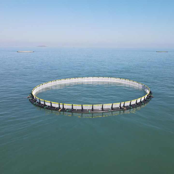 HDPE Floating Cage Fish Farming Cages for Tilapia Aquaculture| Alibaba.com