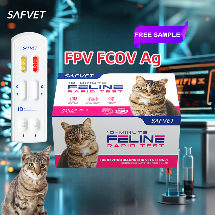 Feline Cat Testing Fpv Fcov Panleukopenia Corona Antigen Combo Fpv Fcov ...