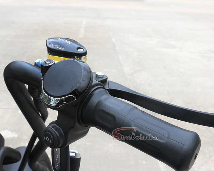 Citycoco E Chopper Electric Golf Cart Scooter 45km/h Range 60km EEC ...