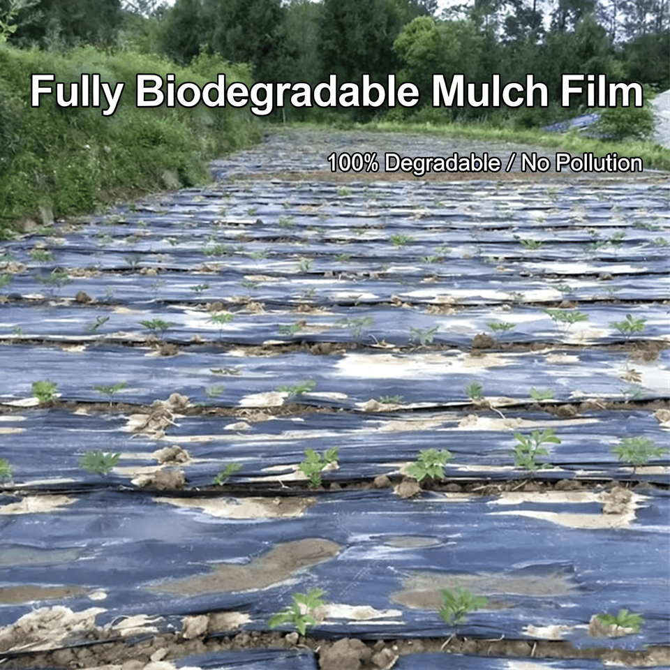 Agricultural Moisture-retaining, Heat-insulating, Biodegradable ...