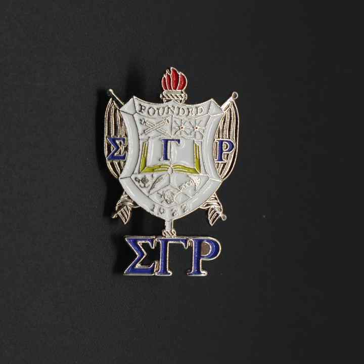 All Groups Sorority VOTE Lapel Pin / Divine Nine Legacy Zeta Phi Beta ...