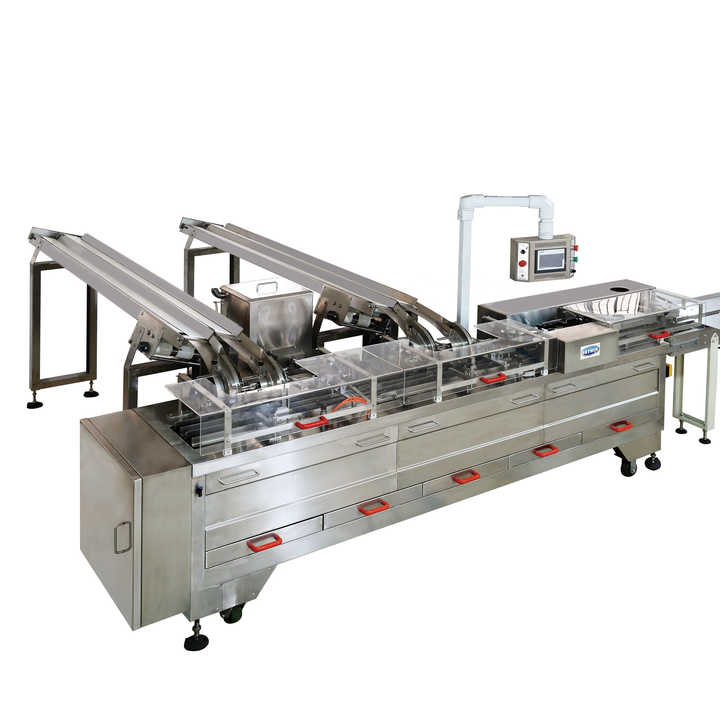 Skywin Automatic Flow Packing Equipment Biscuit Making Machine ...
